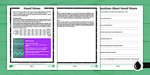 Parts of a Sound Wave Labelling Activity