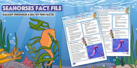 Seahorse Differentiated Fact Files