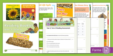 Year 4 English Reading Assessments Pack