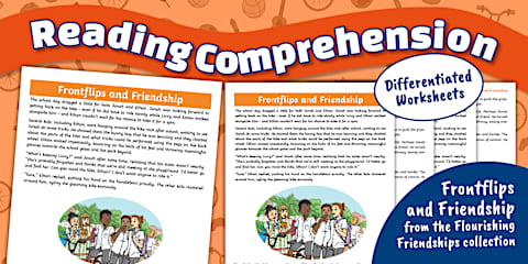The Colours of Friendship Reading Comprehension Pack F-2