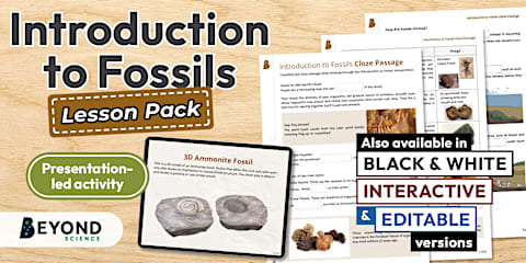 Fossils STEM Resource Pack