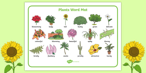 Garden Adjectives Word Mat