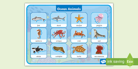 Ocean Animals Word Cards - Indonesian