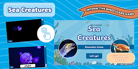 Sea Creatures Interactive Matching Game