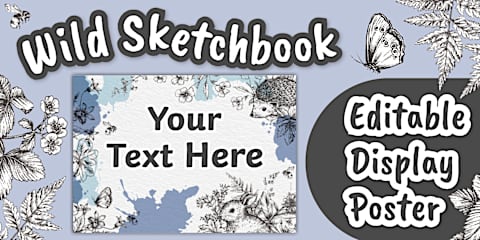 Wild Sketchbook Year 3 and 4 Common Exception Words Display Poster