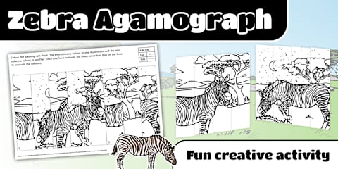 Turtle Agamograph