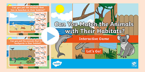 Woodland and Ocean Habitats Animal Sorting Worksheet