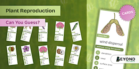 Grade 7 Life and Living Lesson Plan - Sexual Reproduction in Plants