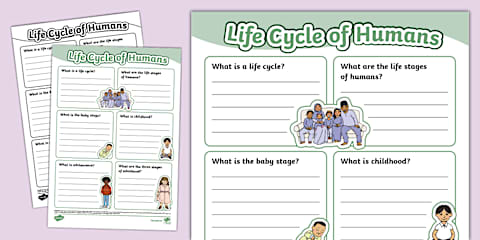 Human Folding Life Stages Template