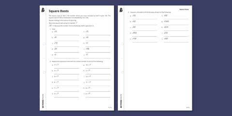 Rules of Indices Display Poster