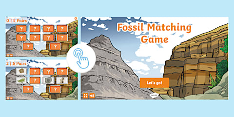 Fossils Interactive Matching Game
