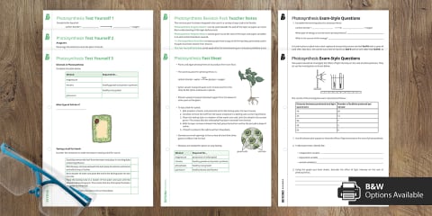 Carbon Cycle Cut and Paste Worksheet