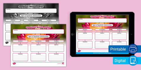 Seventh Grade Symbiosis Color by Number Worksheet