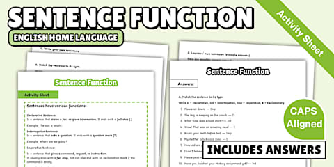 Types of Sentences Differentiated Activity Sheets