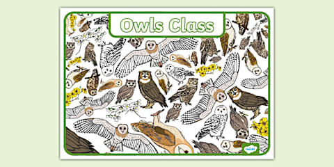 Spanish Word for Owl Display Poster
