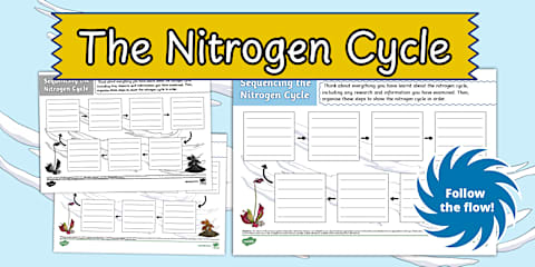 The Nitrogen Cycle Worksheet