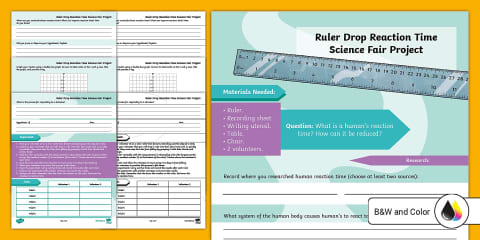 Fifth Grade Qualitative vs. Quantitative Data Science Worksheet