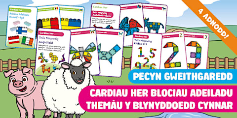 Gweithgaredd Lliwio Diwrnod y Crwban Byd-eang World Turtle Day ...