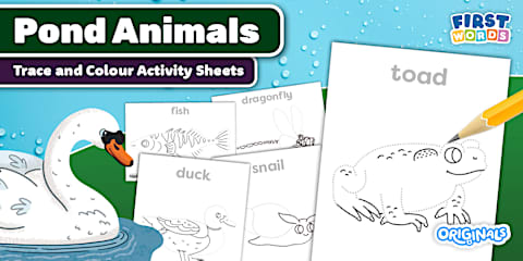 In the Pond Picture and Word Colouring Sheets