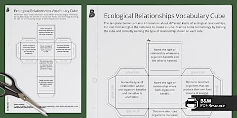 Ecological Relationships Matching Activity