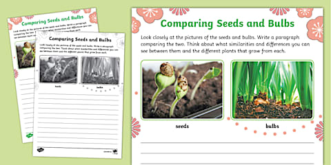 Seeds and Bulbs Sorting Cards
