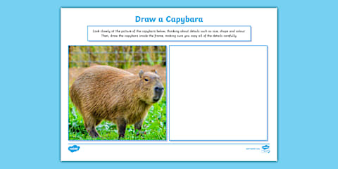 Capybara Word Search