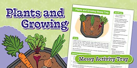 ECE Messy Play Area Rules Posters
