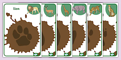 African Animal Footprint Matching Activity