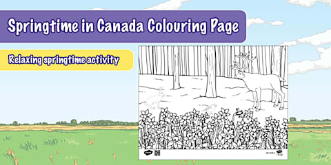 Finish the Canada Landmarks Picture Worksheets