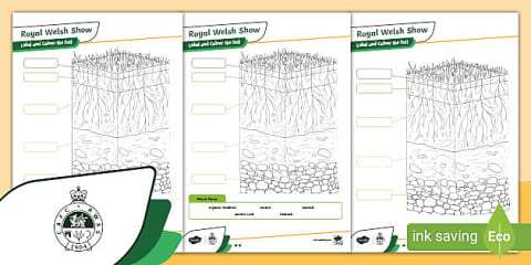 Winter Fair: Soil Layers Display Poster