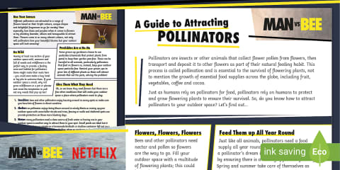 World Bee Day: How to Make a Pollinator Garden (Ages 5 - 7)