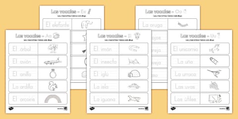 Anita Garibaldi - Compreensão de Leitura