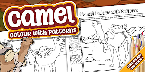 Animals of Canada Cutting Skills Activity