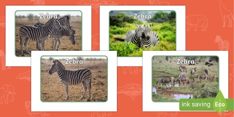 Zebra Cut-Outs