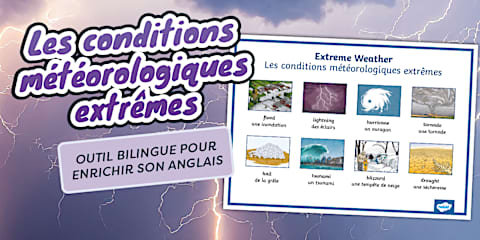 Cartes flash : Vocabulaire alimentaire - Anglais LV