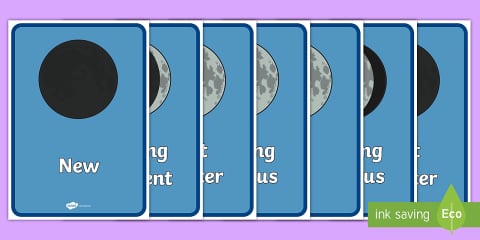 Phases of the Moon Leaflet Template