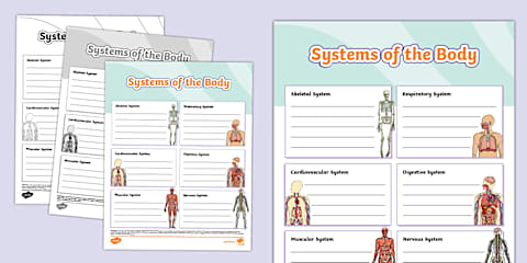 Human Body Writing Template Sheet