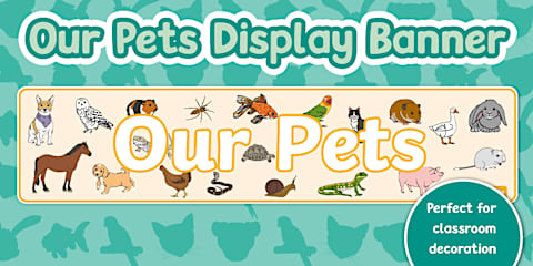 10 Facts About Horse Riding Worksheet