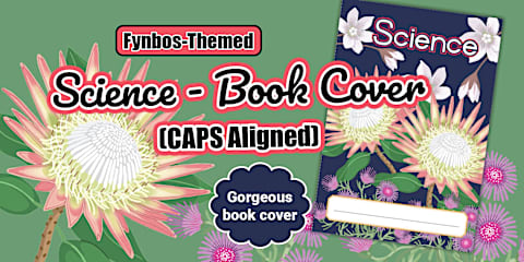 Foundation Phase - Beaches in South Africa - Instant Photo Style ...