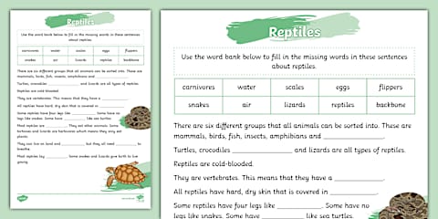 Egg-Laying and Live-Bearing Snakes - Life Cycle Activity Sheets