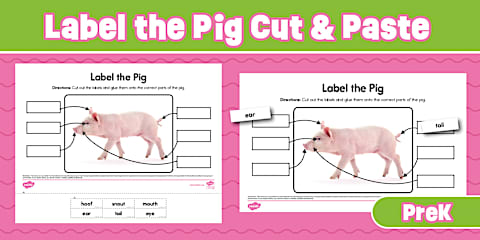 Parts of the Body of a Pig - Labelling Activity