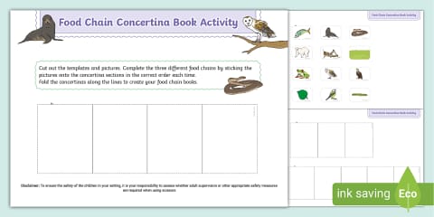 Make a Simple Food Chain Mobile Craft (Ages 6 - 7)