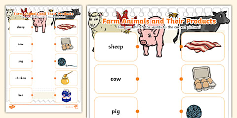 Farm Animals Colouring and Ordinal Number Worksheet