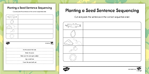 Kindergarten All About Plants: Living or Nonliving Worksheet