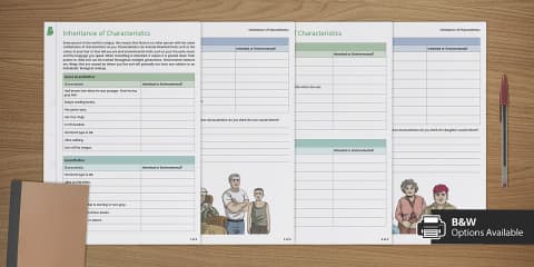 DNA Simple Diagram Activity Sheet - Biology - Beyond