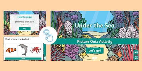 Under the Sea Shadow Matching Activity
