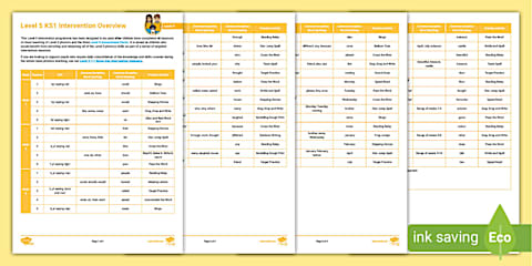 KS1 Level 2 Intervention - Overview