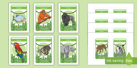 Jungle Name Labels - Twinkl Classroom Labels