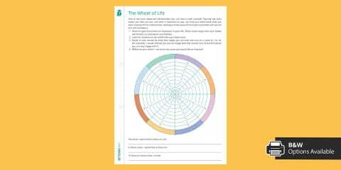 The Wheel of Life: Adult Edition