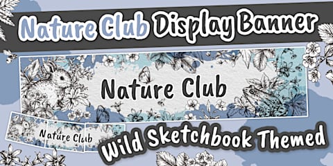 Wild Sketchbook Year 3 and 4 Common Exception Words Display Poster